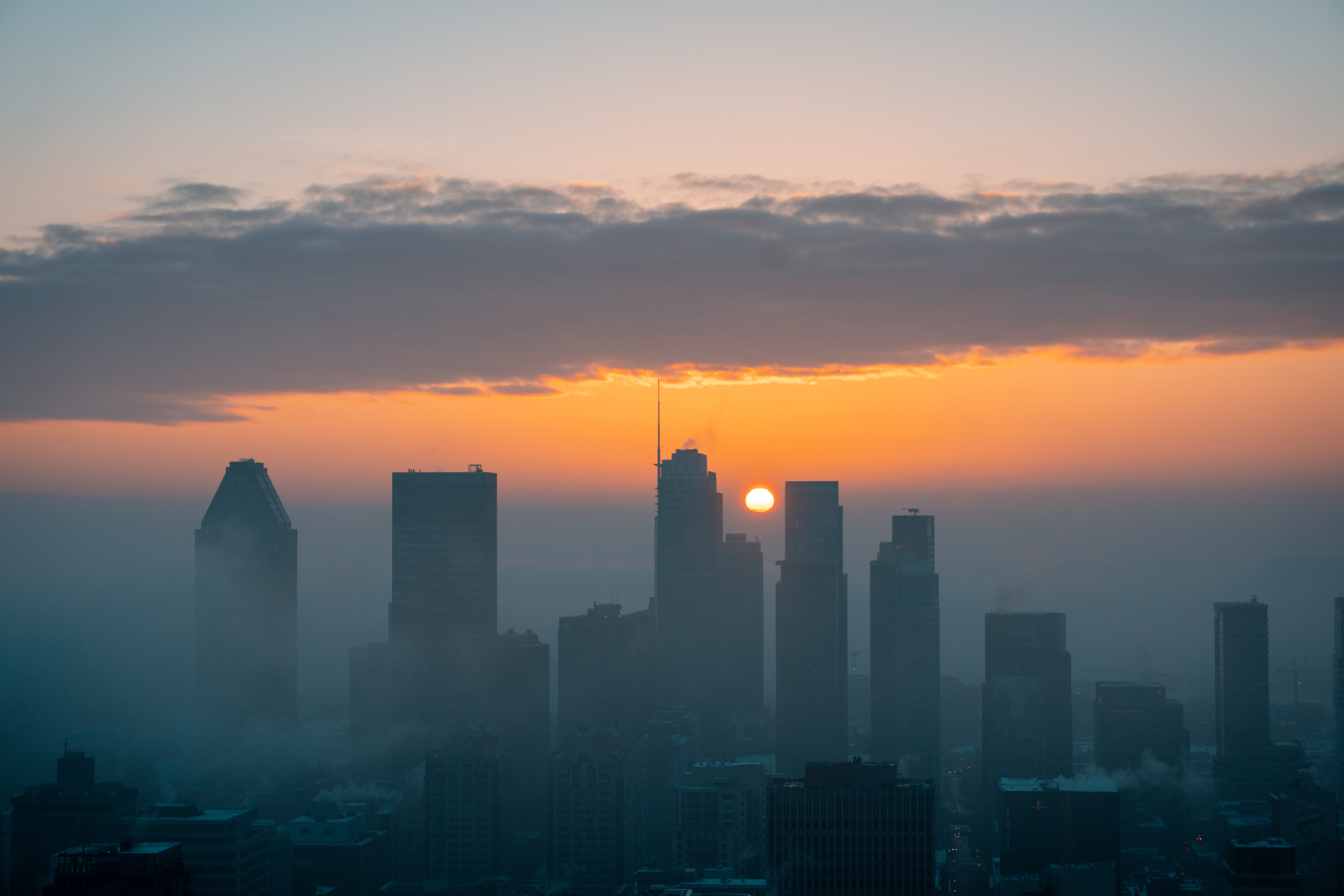 Climate Week NYC: Using the TNFD LEAP process to tackle deforestation ...