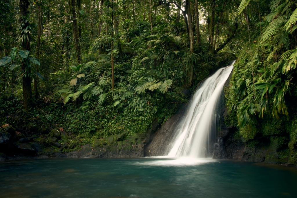 Six more international organisations sign-up for Global Canopy’s TNFD ...