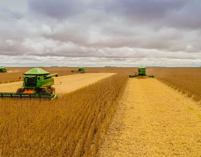 State of Finance for Nature 2026 report launches – Global Canopy
