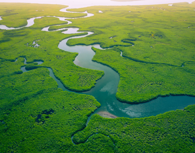 State of Finance for Nature 2026 report launches – Global Canopy