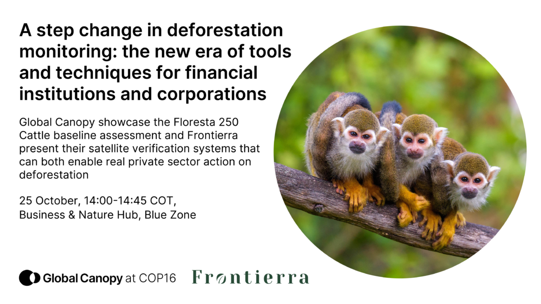 CBD COP16: A step change in deforestation monitoring: the new era of ...