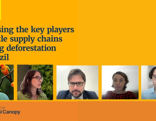 State of Finance for Nature 2026 report launches – Global Canopy
