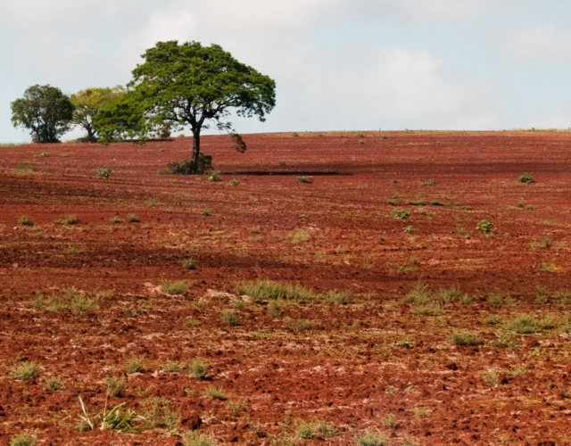 State of Finance for Nature 2026 report launches – Global Canopy