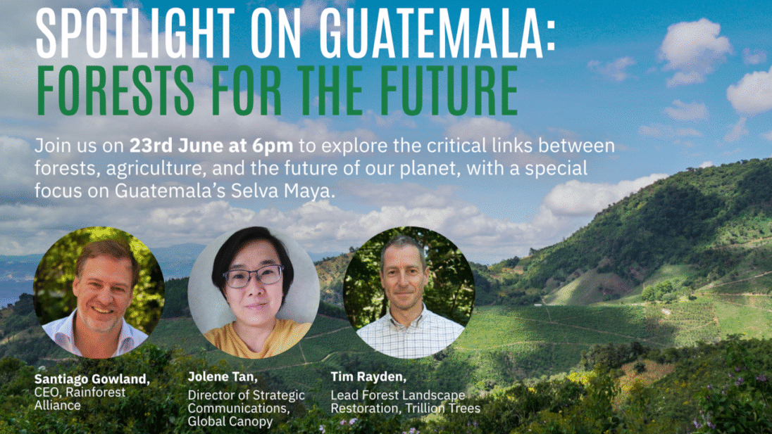 Forests, food and the future: Spotlight on Guatemala – Global Canopy