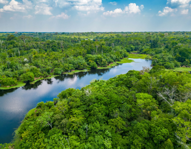State of Finance for Nature 2026 report launches – Global Canopy